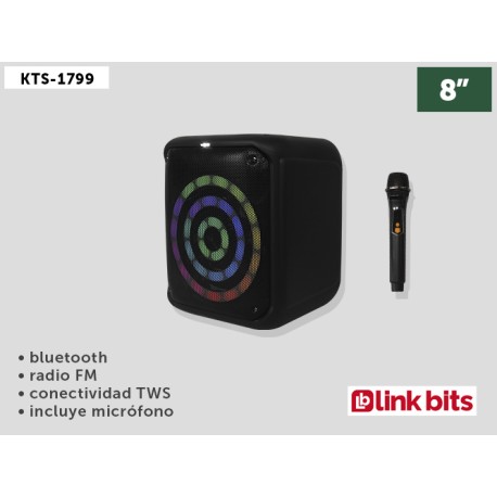 BOCINA KTS-1799